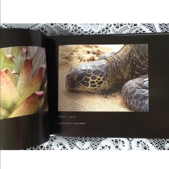 Robyn Singh | Accents | Haynes Creations Hawaii Coffee Table Book ...